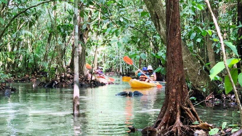 From Ao Nang: Kayaking at Klong Rud with Hotel Transfers - Key Points