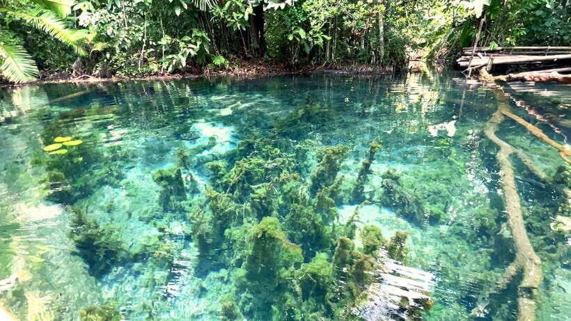 From Ao Nang: Kayaking at Klong Rud with Hotel Transfers - Who Will Enjoy This Tour?