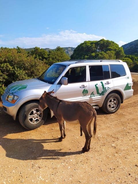 From Arbatax: 4hour jeep tour of the Golgo Plateau in Baunei - Scenic Views and the Local Atmosphere