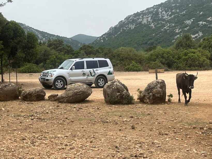 From Arbatax: 4hour jeep tour of the Golgo Plateau in Baunei - FAQ: Practical Questions About the Golgo Plateau Jeep Tour
