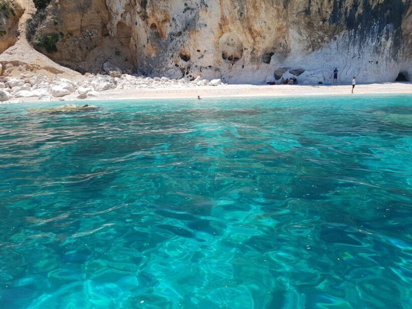From Arbatax: Gulf of Orosei Sail Boat Trip with Lunch - Practical Details and Considerations