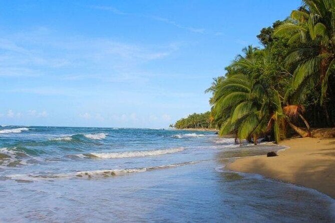From Arenal- La Fortuna To Papagayo Shuttle Service - From Arenal- La Fortuna To Papagayo Shuttle Service: A Practical and Comfortable Transfer Option
