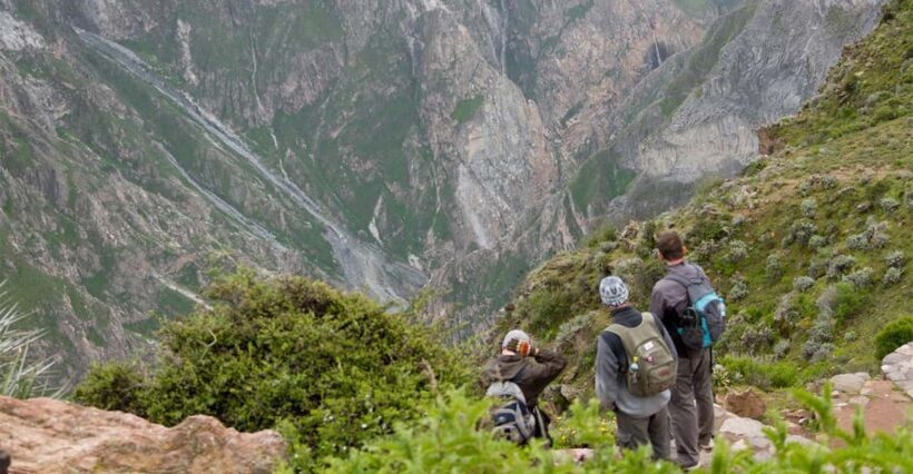 From Arequipa: 2-Day Colca Canyon Trekking Tour - Transportation and Group Size