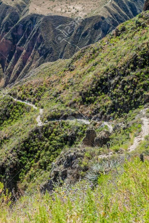 From Arequipa: 2-Day Colca Canyon Trekking Tour - Final Thoughts