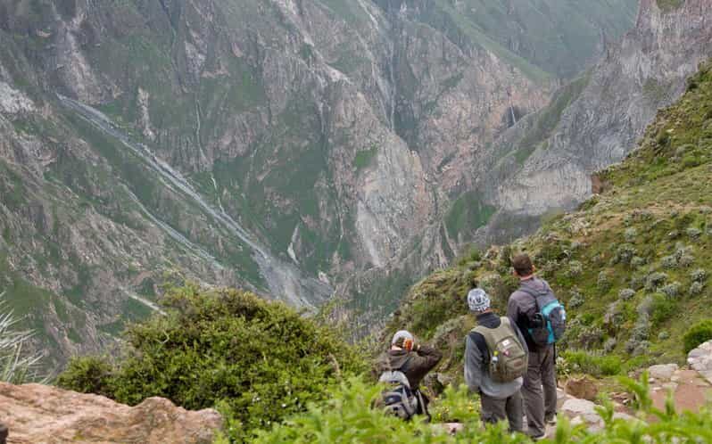 From Arequipa: 2-Day Colca Canyon Trekking Tour - FAQ