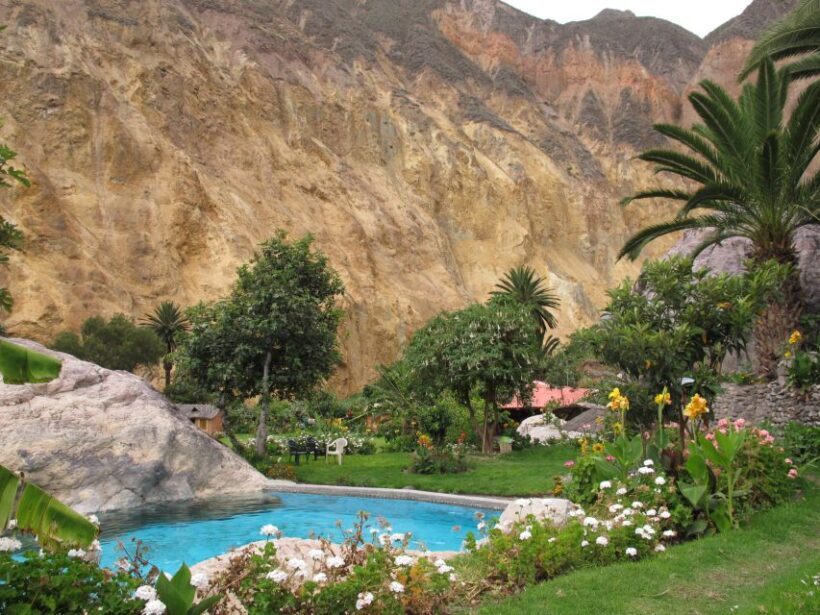 From Arequipa: 3-Day Colca Canyon Trek - Real Travelers’ Impressions