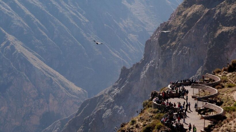 From Arequipa: Colca Canyon all include |Full Day| - Key Points