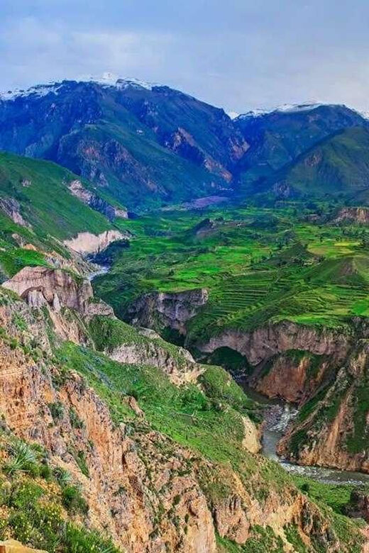 From Arequipa: Colca Canyon Day Trip with Buffet Meals - A Deep Dive into the Tour Experience