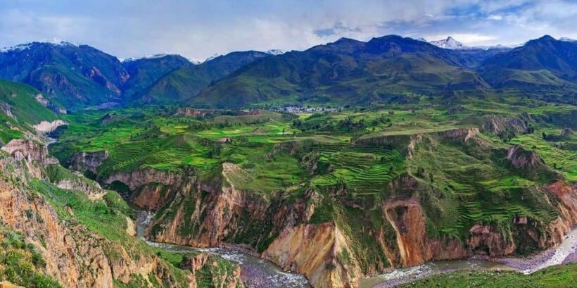 From Arequipa: Colca Canyon Day Trip with Buffet Meals - FAQ