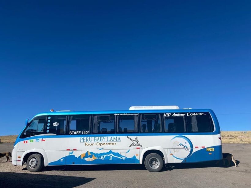 From Arequipa: Colca Canyon Day Trip with Transfer to Puno - A Final Word