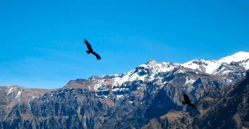 From Arequipa: Colca Canyon Excursion 2D with End in Puno - Key Points