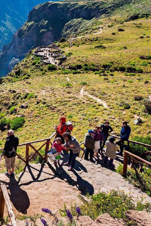 From Arequipa: Colca Canyon Excursion 2D with End in Puno - A Deep Dive into the Tour: What to Expect