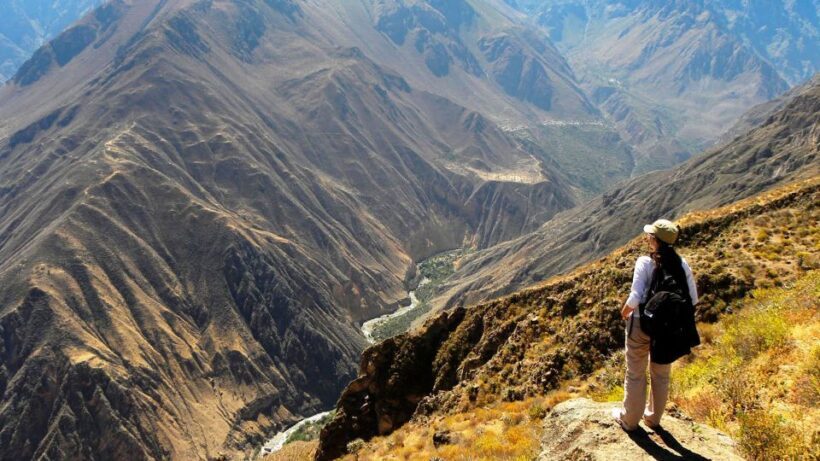 From Arequipa: Full Day Colca Canyon Tour - The Itinerary in Detail: What to Expect at Each Stop