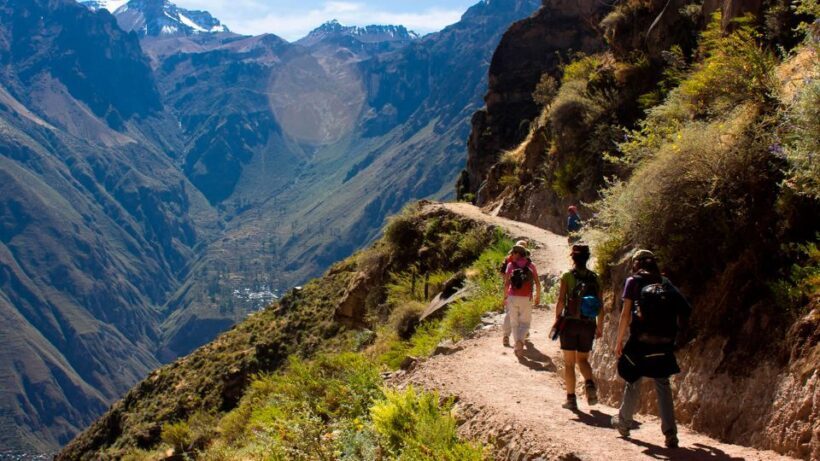 From Arequipa: Full Day Colca Canyon Tour - Practical Details: Transportation, Group Size, and Cost