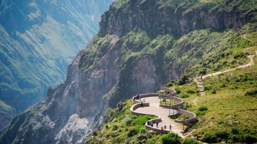 From Arequipa: Full Day Colca Canyon Tour - What Travelers Say