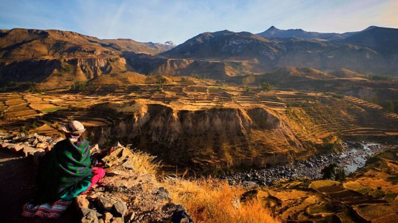 From Arequipa: Full Day Colca Canyon Tour - Frequently Asked Questions