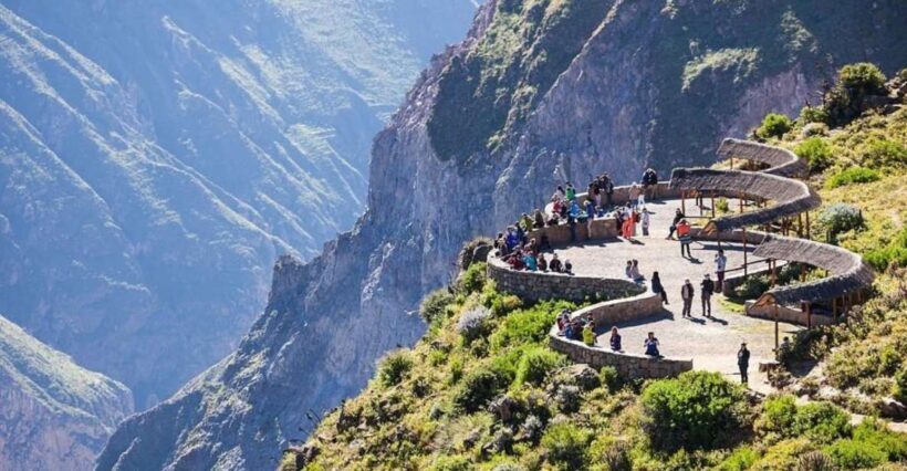 From Arequipa: Full-Day to Colca Canyon - Key Points