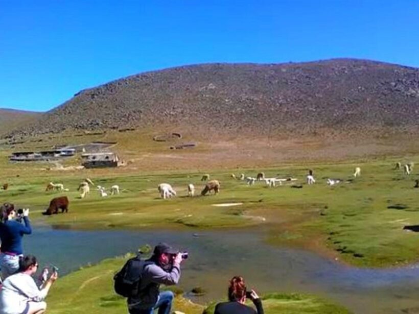 From Arequipa: Tour Colca Canyon 2 Days with End in Puno - What Reviewers Say