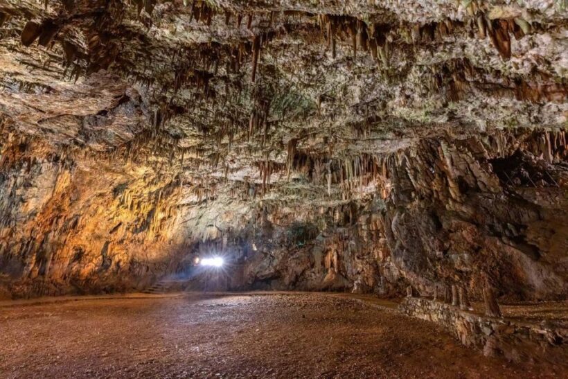 From Argostolion: Caves and Antisamos Beach Private Tour - Who Would Enjoy This Tour?