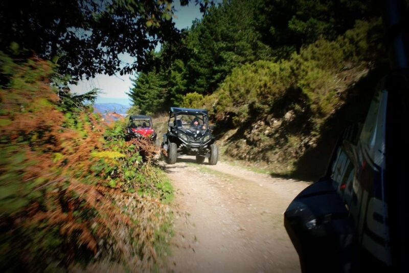 From Aritzo: buggy tour on Gennargentu - Final Thoughts