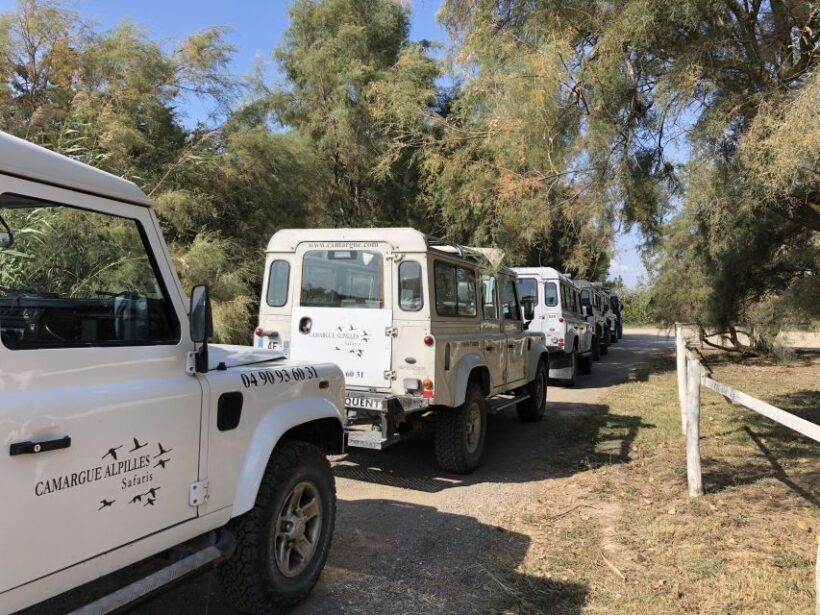 From Arles: Half-Day 4x4 Camargue Safari - Logistics and Practical Considerations
