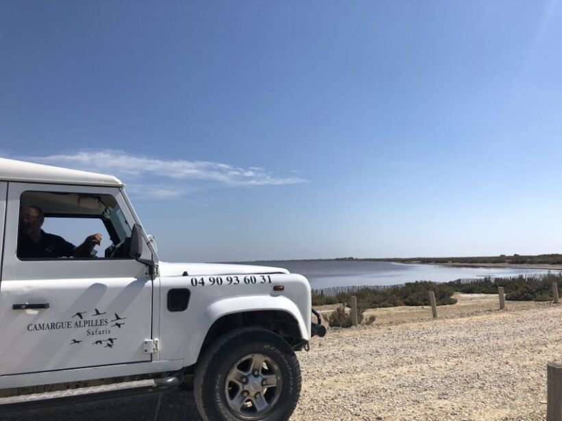 From Arles: Half-Day 4x4 Camargue Safari - Final Thoughts