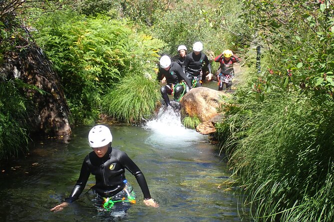 From Arouca: Canyoning Adventure - Adventure Tour - Why This Canyoning Tour Is a Great Choice