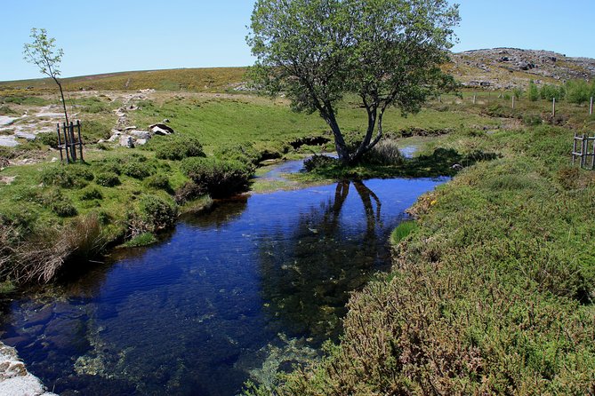 From Arouca: Freita Mountain [Arouca Geopark]- Jeep Tour - Who Would Love This Tour?