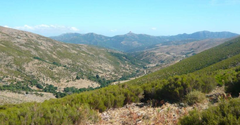 From Arzana: trekking to Punta La Marmora with aperitif - Final Thoughts: Who Should Book This?
