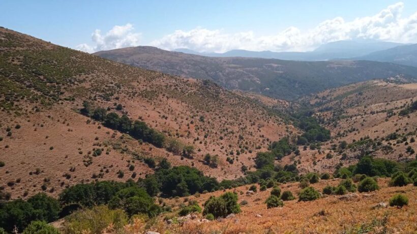From Arzana: trekking to Punta La Marmora with aperitif - FAQ: Your Questions Answered
