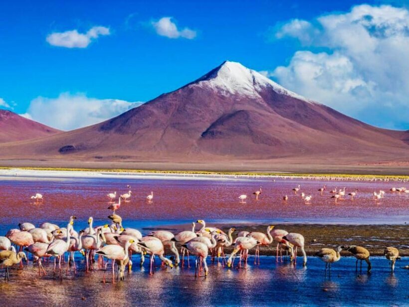 From Atacama | Salar de Uyuni 4 days the largest salt lake - Key Points