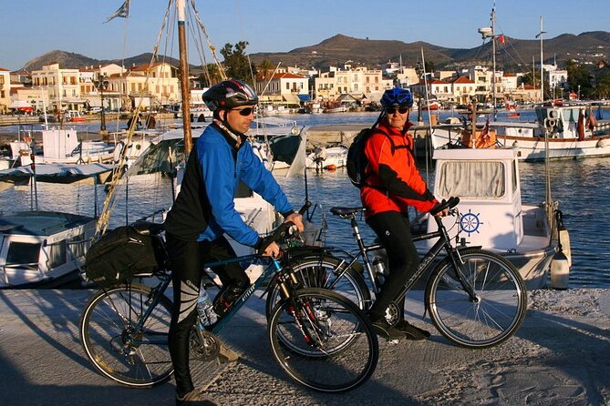 From Athens: Aegina Island E-bike & walking day tour - Who Will Love This Tour?