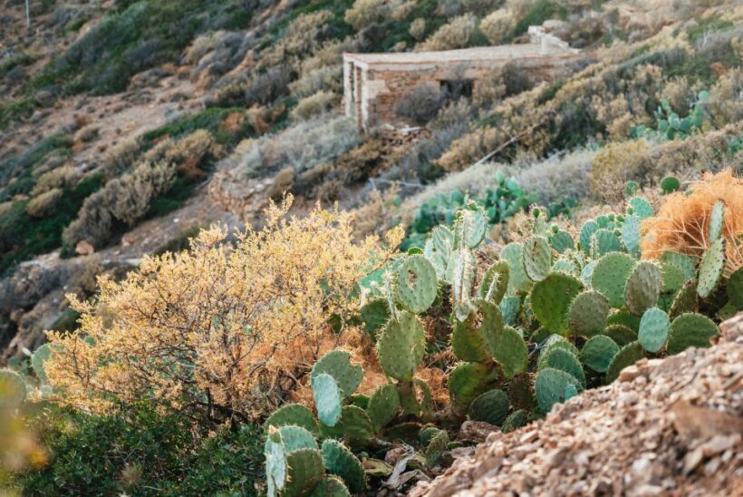 From Athens: Cape Sounion & Temple of Poseidon Half Day Tour - Practical Tips for Travelers