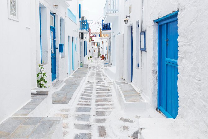 From Athens: Day Tour to Mykonos - Culinary Delights and Shopping Opportunities