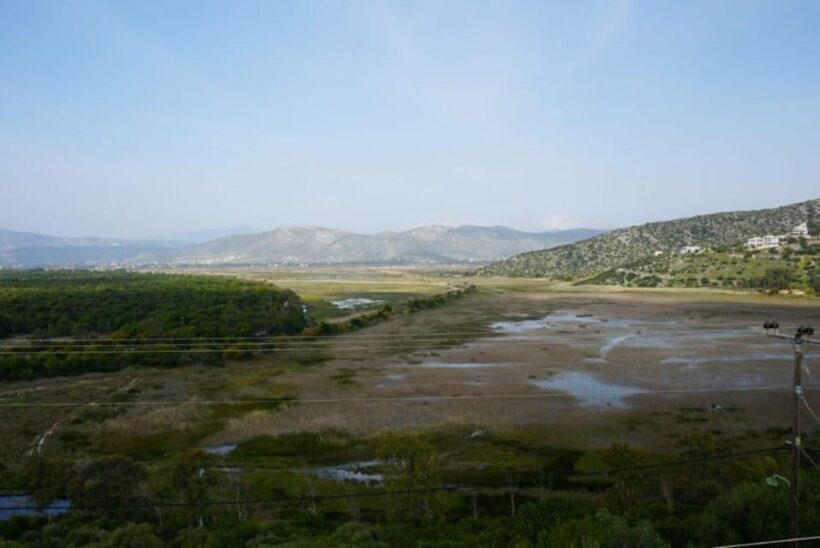 From Athens: Marathon Battlefield and Museum Private Tour - Final Thoughts