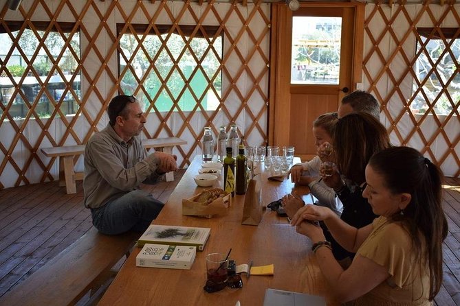 From Athens: Olive Oil Tasting, Olive Grove & Wine Experience - Highlights of the Olive Grove Exploration