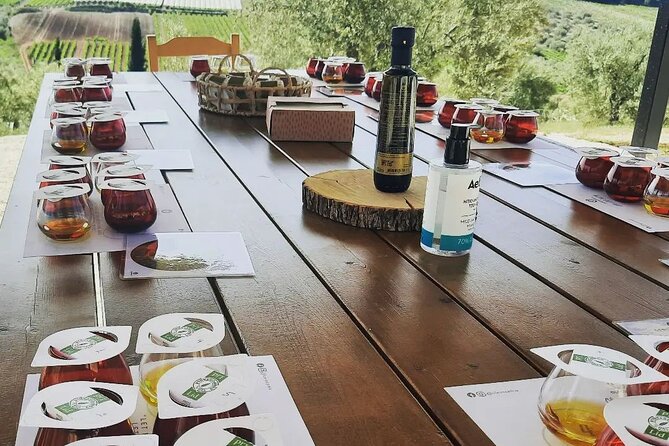 From Athens: Olive Oil Tasting, Olive Grove & Wine Experience - Olive Oil Tasting and Regional Delicacies