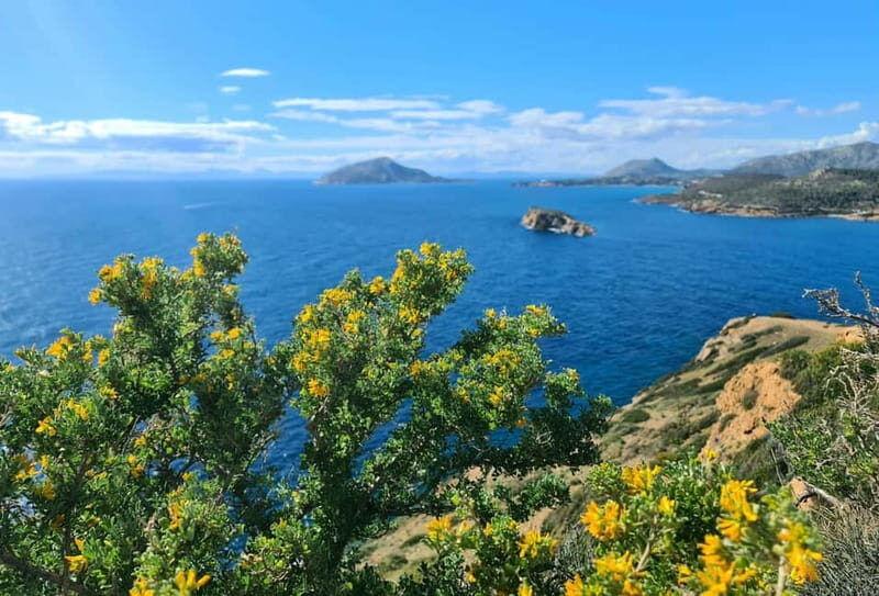 From Athens: Temple of Poseidon & Cape Sounion Half-Day Tour - Key Points