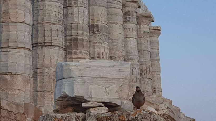 From Athens: Temple of Poseidon Private Couples Trip - Exploring the Temple of Poseidon