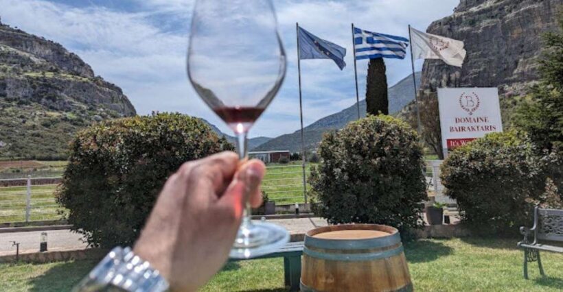 From Athens: Wine Roads Private Tour with Wine Tasting - An Introduction to the Tour