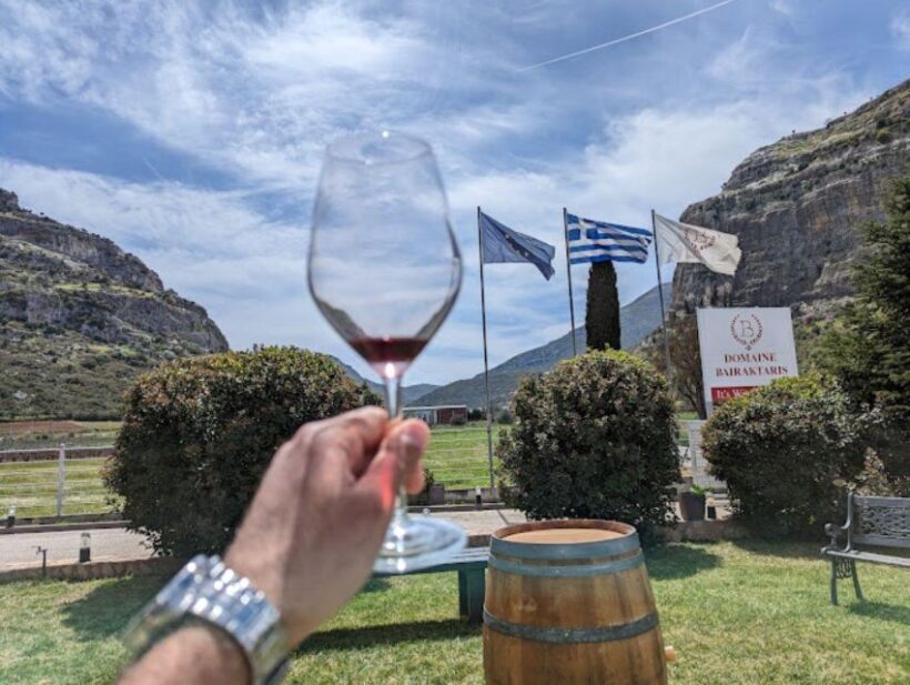 From Athens: Wine Roads Private Tour with Wine Tasting - Who Should Consider This Tour?