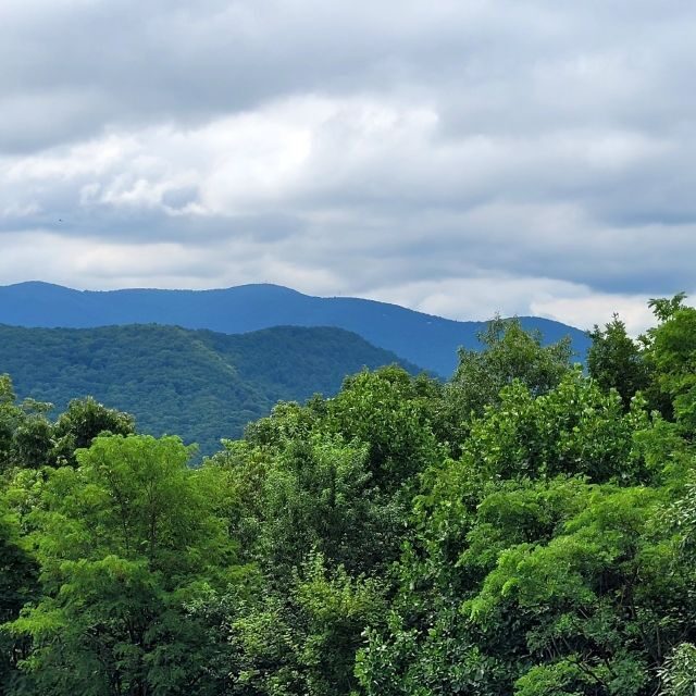 From Atlanta: Half-Day or Full-Day Wine Country Tasting Trip - Value and Practical Insights