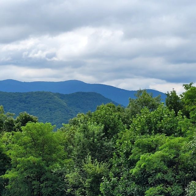 From Atlanta: Half-Day or Full-Day Wine Country Tasting Trip - Key Points