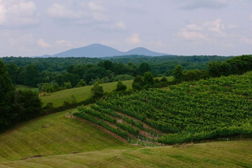 From Atlanta: Half-Day Wine Country Tour - Introduction