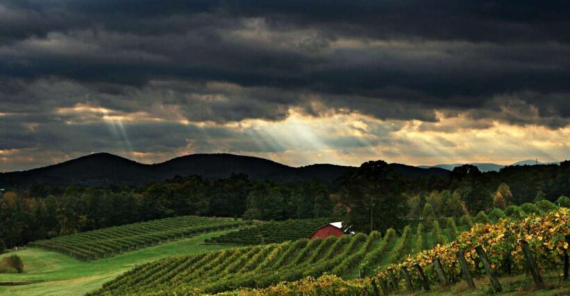 From Atlanta: North Georgia Wine Country Tour - Who Should Consider This Tour?