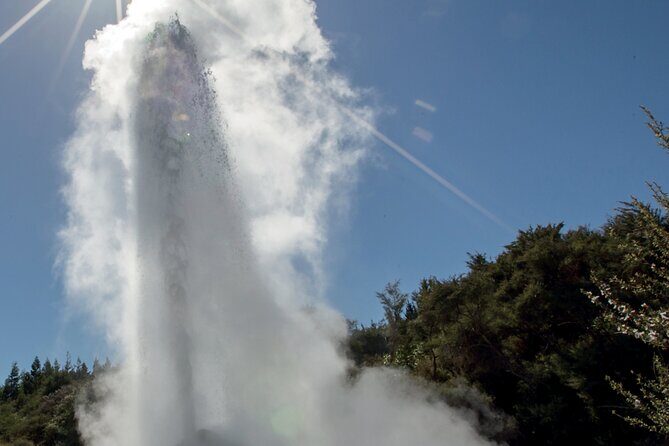 From Auckand: Wai-O-Tapu and Polynesian Spa Rotorua Day Tour - Who Should Consider This Tour?