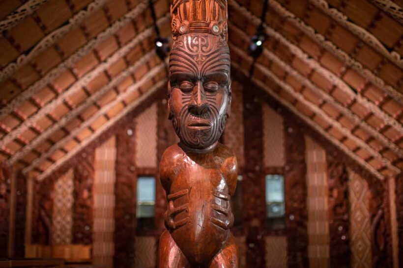 From Auckland: 6-Day Northland Tour with German Guide - Introduction: Is This Tour Right for You?