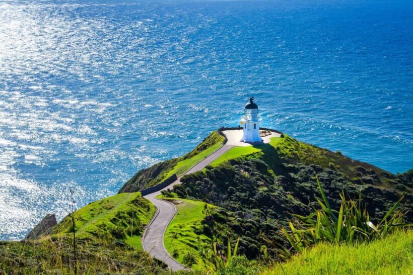 From Auckland: 6-Day Northland Tour with German Guide - Why This Tour Offers Great Value