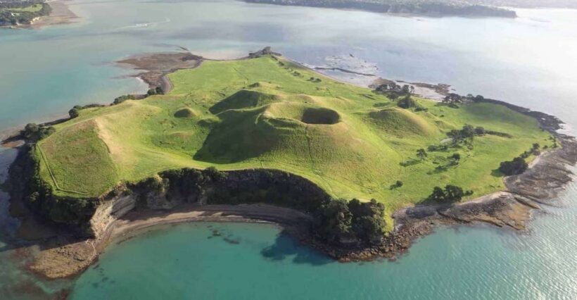 From Auckland: Browns Island Motukorea Sea Kayak Tour - Key Points