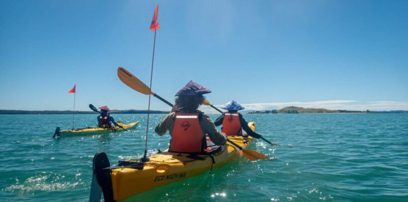 From Auckland: Browns Island Motukorea Sea Kayak Tour - An In-Depth Look at the Browns Island Sea Kayak Tour